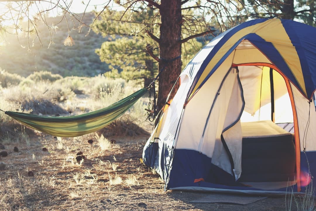 Best Camping Hammock in 2026: Top Picks for Every Camper | Campsitekit
