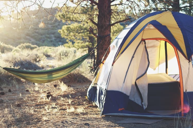 Best Camping Hammock in 2026: Top Picks for Every Camper | Campsitekit