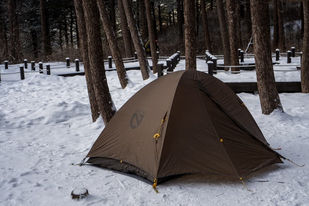 Best Campsite App: Top Apps for Finding and Booking Camping Spots in ...