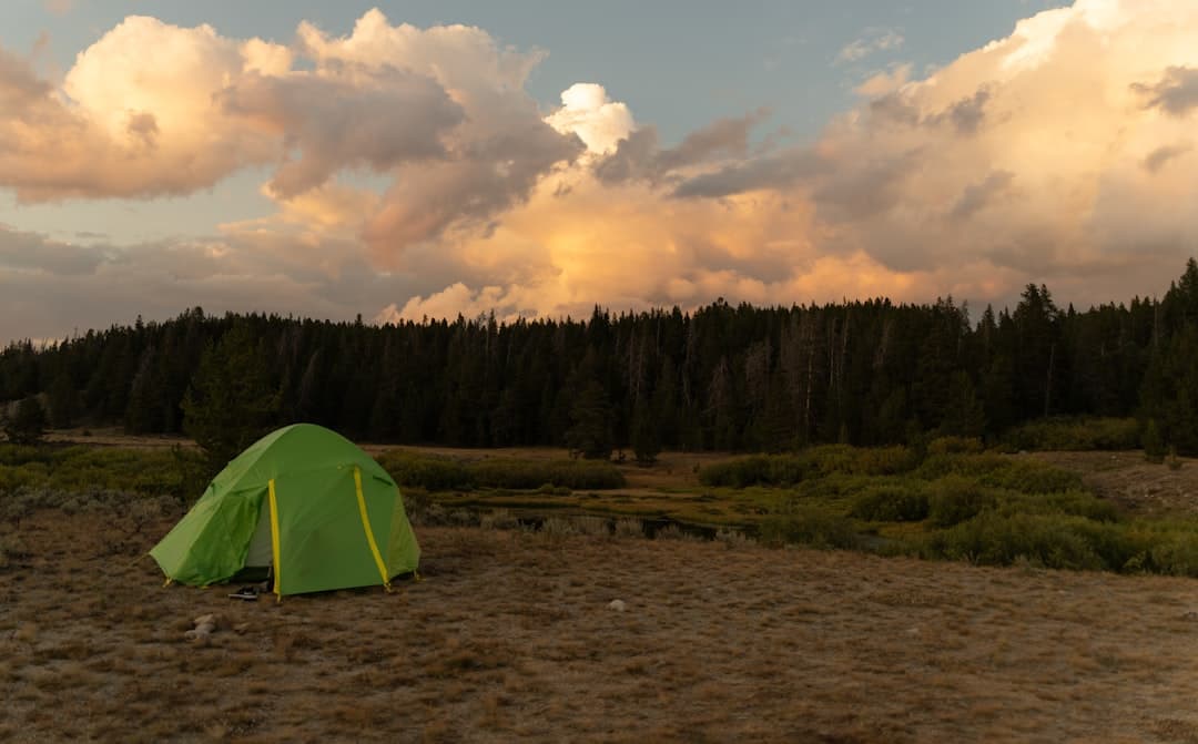 Best Dispersed Camping App: Find Free Campsites in the Wild | Campsitekit